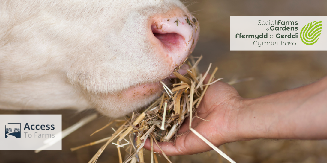 Access to Farms partnership | Social Farms & Gardens